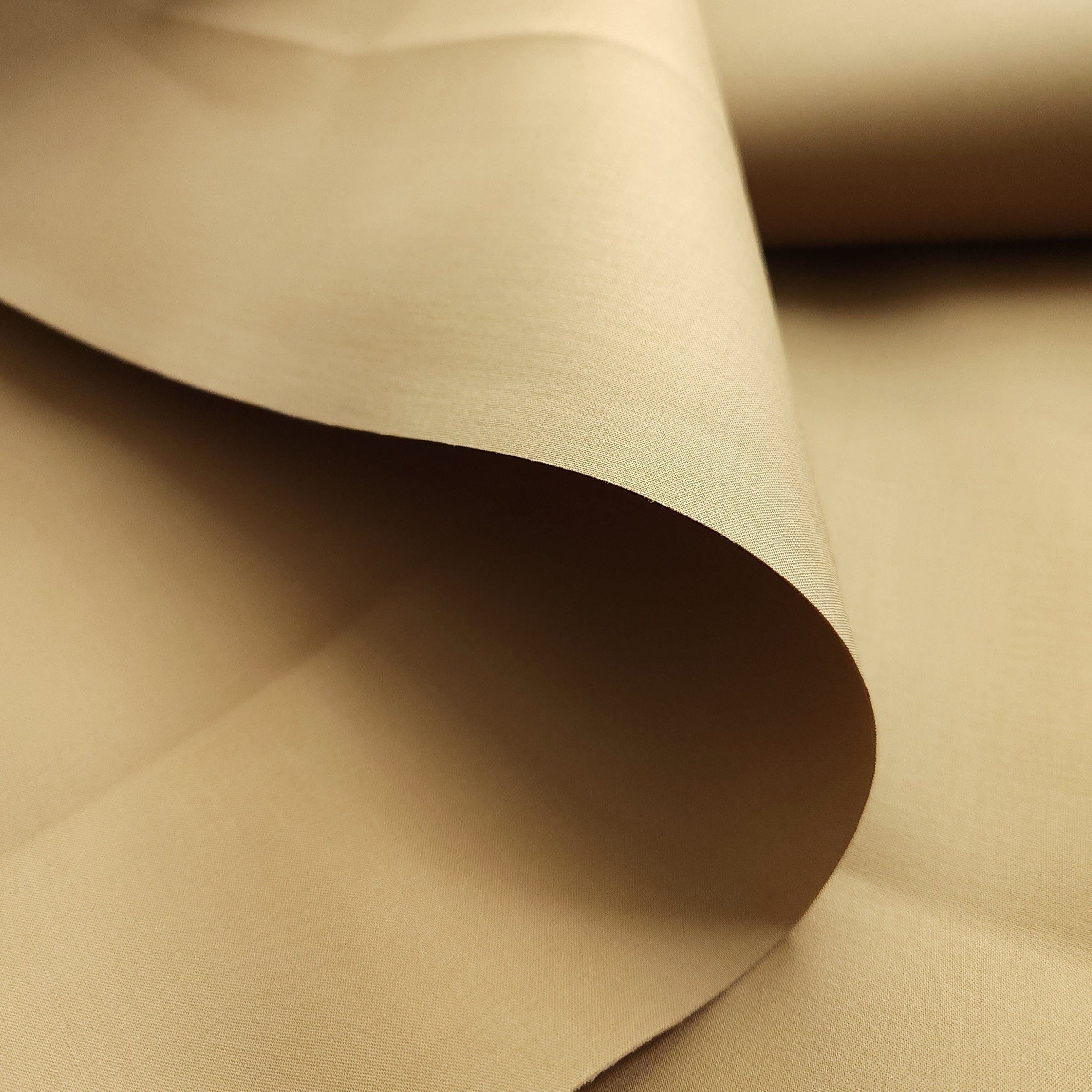 Canvas– Charlotte's Webbing