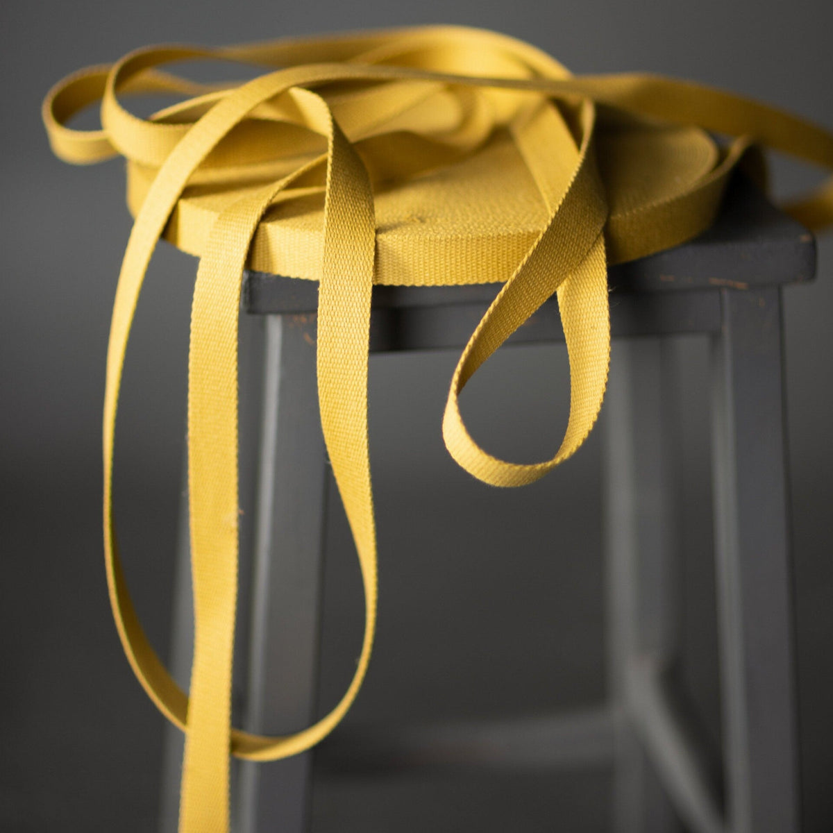 Webbing– Charlotte's Webbing