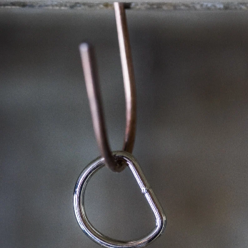 3/4 Inch D Rings / Nickel / Pair– Charlotte's Webbing