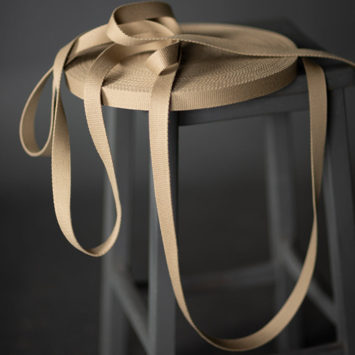 Webbing Solid– Charlotte's Webbing