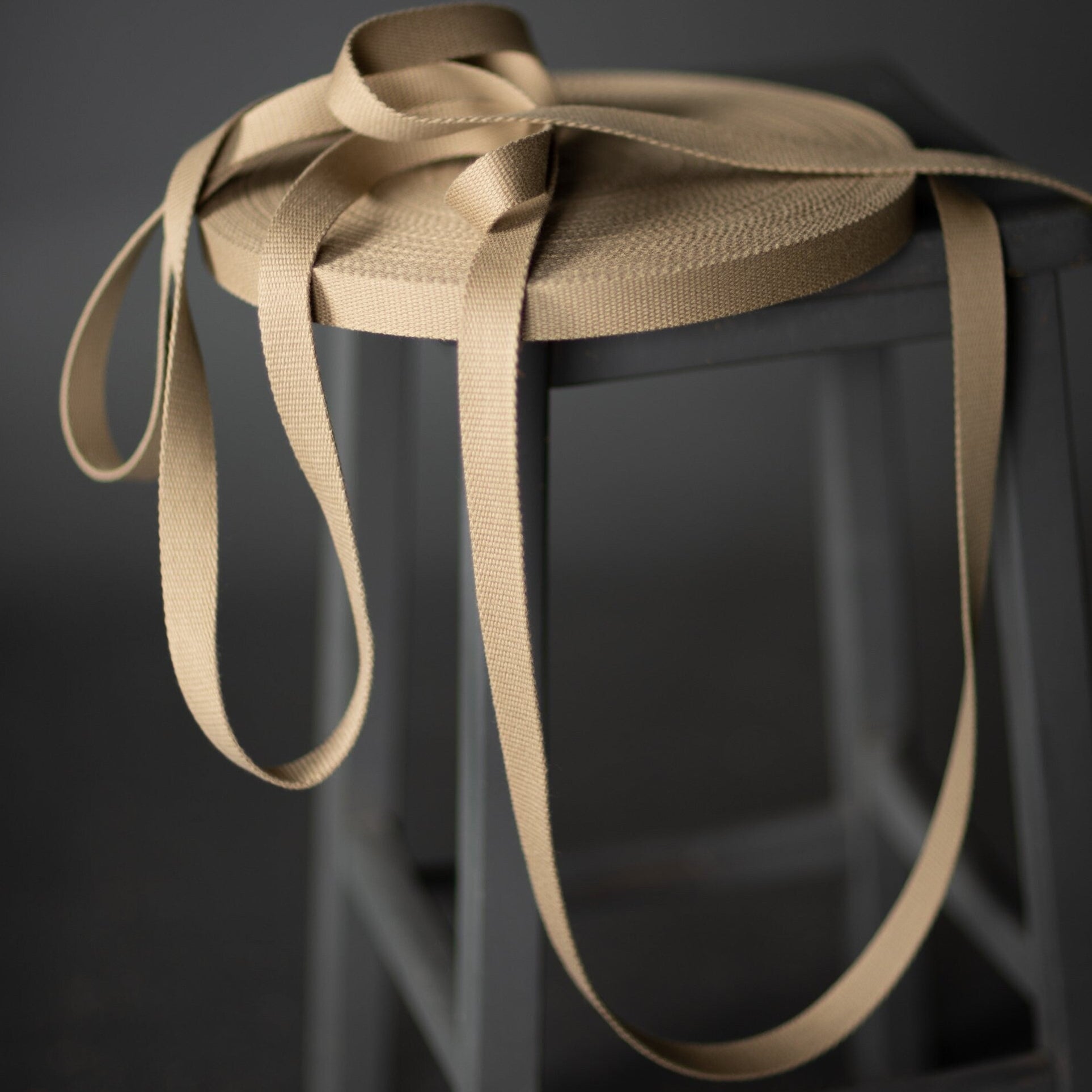 Webbing– Charlotte's Webbing